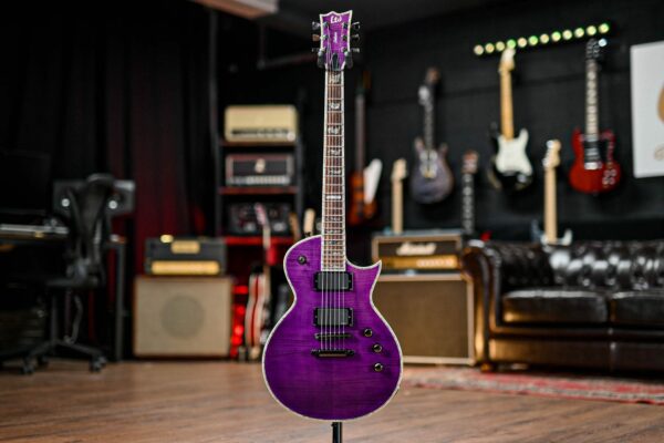 ESP LTD EC-1000 Deluxe in See Thru Purple - Guitar Gear Giveaway