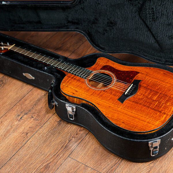 Taylor Limited Edition 420-CE-L5 - Guitar Gear Giveaway