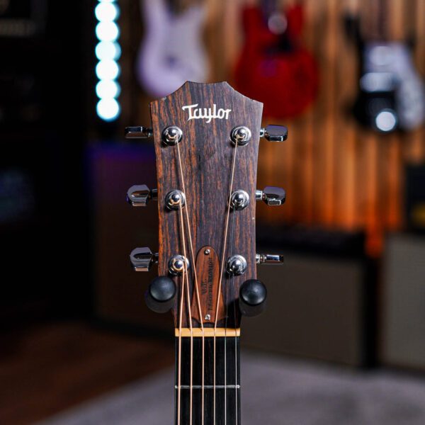 Taylor Limited Edition 420-CE-L5 - Guitar Gear Giveaway