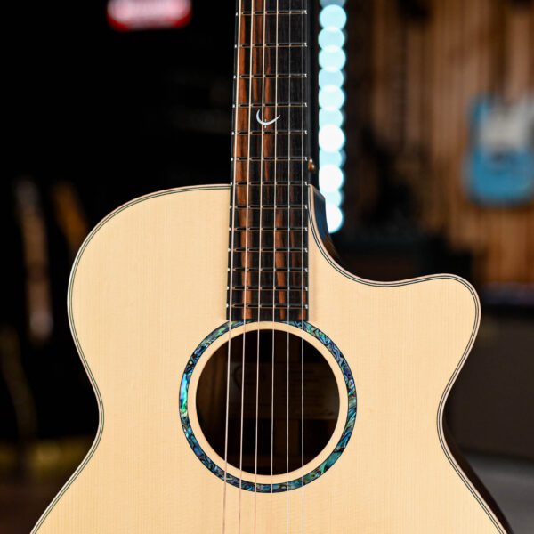 Faith FVHG Venus Cutaway Electro High Gloss - Guitar Gear Giveaway