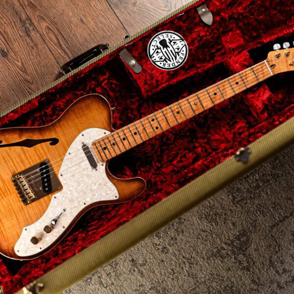 Fender American Select Thinline Telecaster - Guitar Gear Giveaway