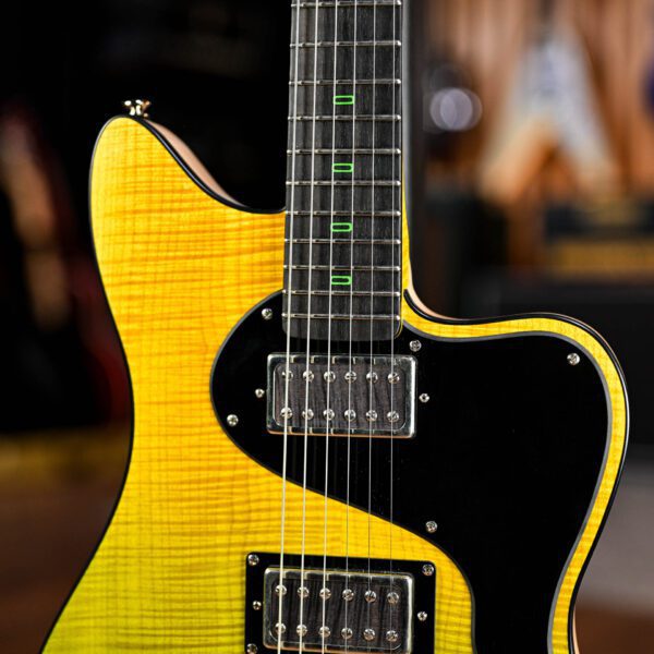 PJD Custom Shop St John Elite in Lizards Breath - Guitar Gear Giveaway